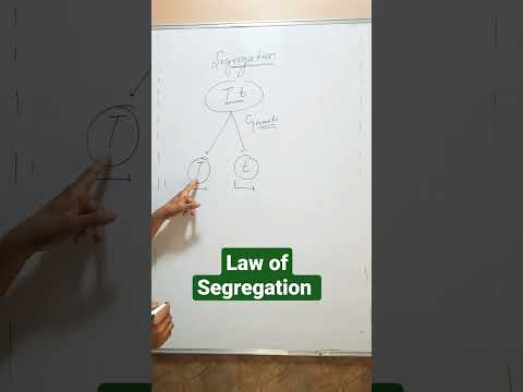 Mendel's law of Segregation