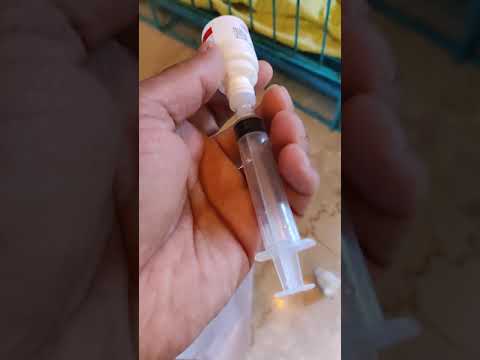 Veterinary Injections - Vet Injections Latest Price, Manufacturers ...
