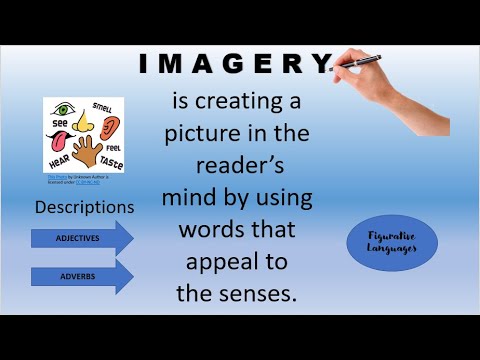 LESSON 4: IMAGERY | Types of Imagery