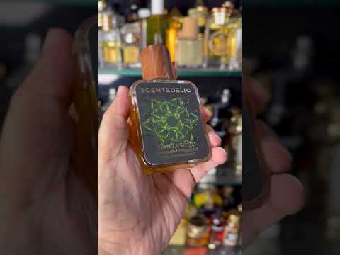 3 Vetiver Fragrances For All Budget #vetivergrass #khus #perfumereels #attar
