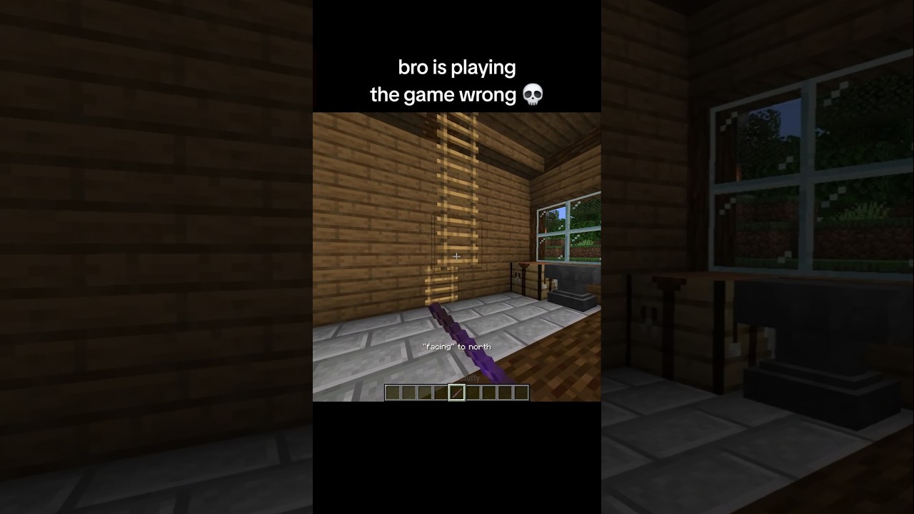 Minecraft Debug Stick Moment