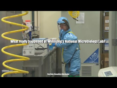 What really happened at Winnipeg's National Microbiology Lab?