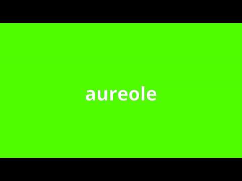 what is the meaning of aureole