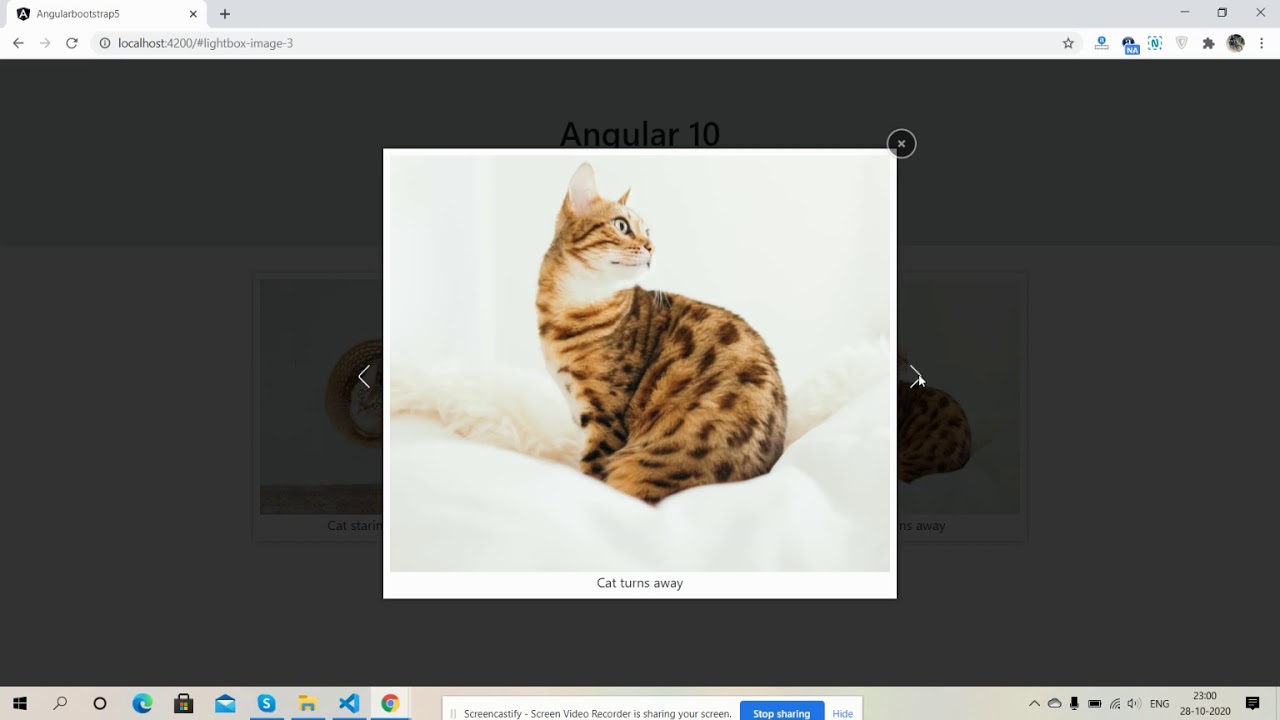 Angular 10 Image Gallery Lightbox Working Demo