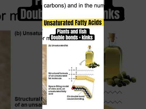 Unsaturated Fats 101: sources and #chemistry #biology See lecture!