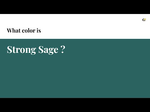 Strong Sage color #2b6460 hex color - Green color - Warm color 2b6460