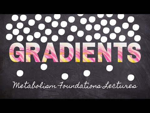 Concentration Gradients | Part 5 Metabolism Foundations | Nourishable Macronutrients Lecture 15