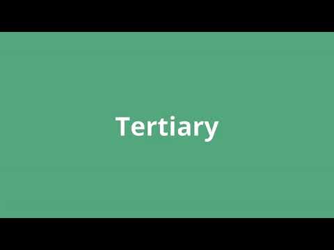 what is the meaning of Tertiary