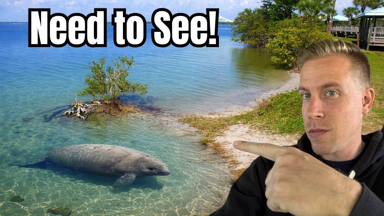 Manatee Sanctuary Park Tour – Cape Canaveral’s Hidden Gem!