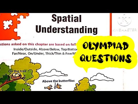 What do we mean by SPATIAL UNDERSTANDING | OLYMPIADS 2023-2024