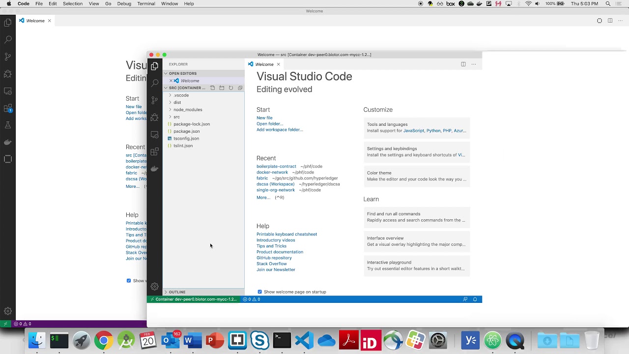 Debugging node application running inside a Docker container using VS Code Remote Extension