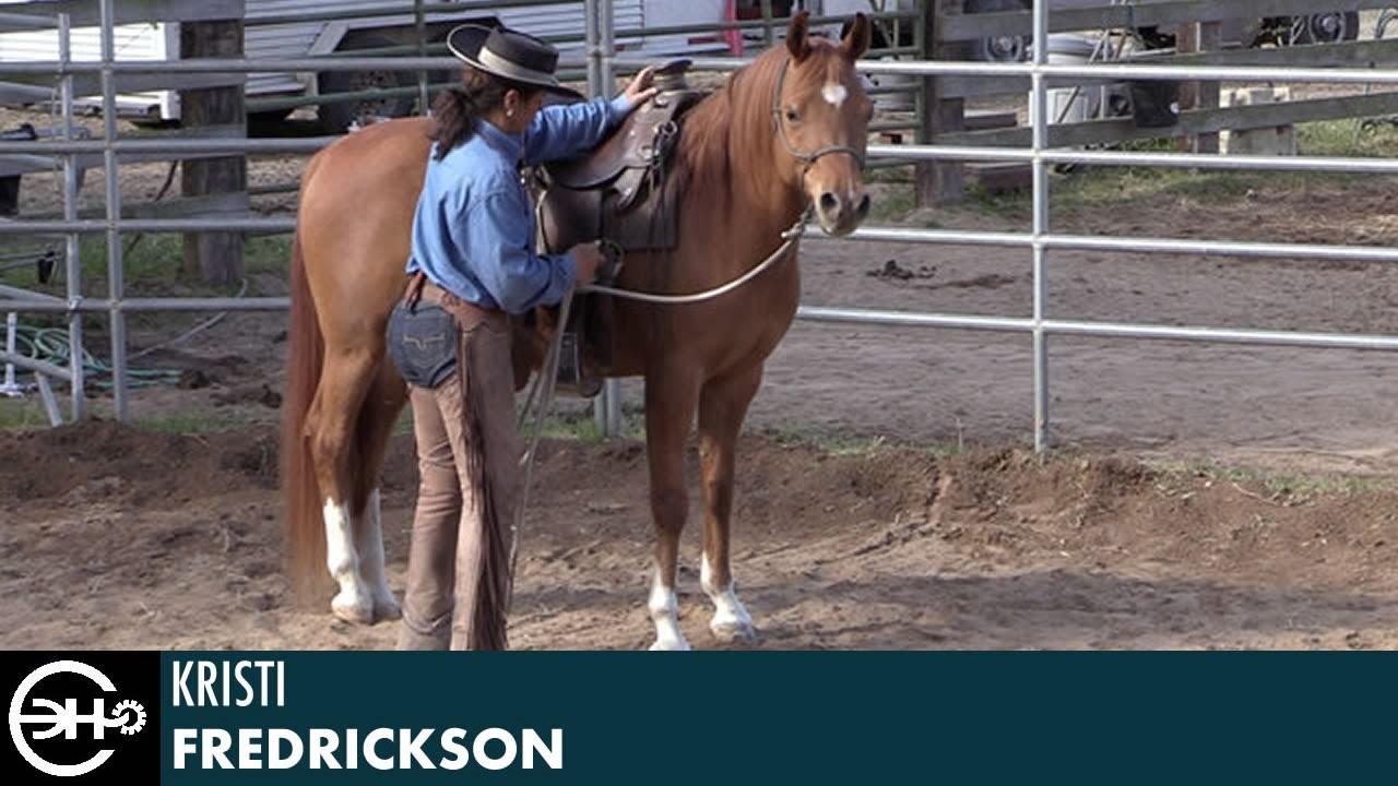 Saddling After A Wreck with Kristi Fredrickson – Eclectic Horseman