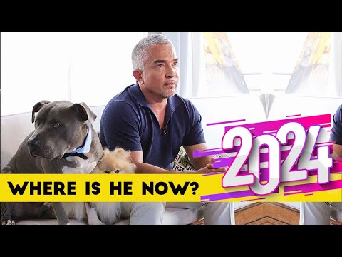 Cesar Millan the Dog Whisperer’s 2024 Update: Divorce, New Show, Net Worth, and More.