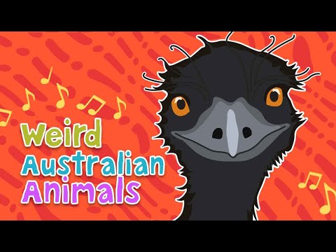 Weird Australian Animals: Australian Song with Lyrics