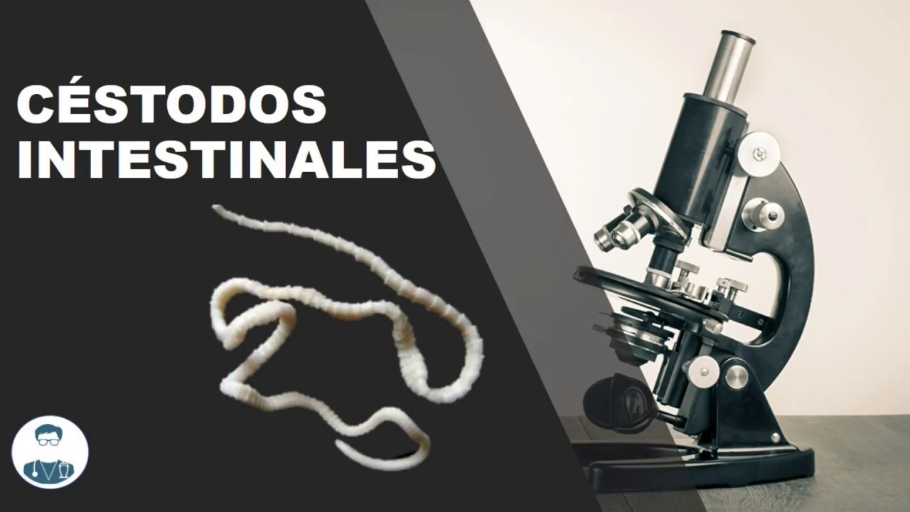 Céstodos | Generalidades básicas.