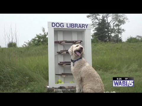 ‘Happy dog owners & happy dogs’: Sandy Point Beach debuts ‘Dog Library’