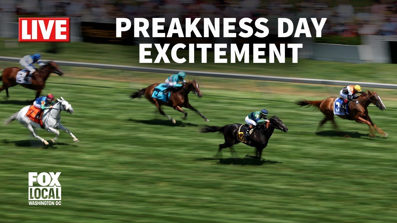 LIVE: Preakness Day Excitment