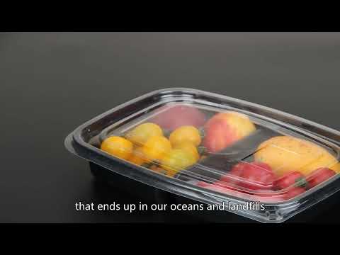 disposable plastic container,bagasse plate,biodegradable plastic container,China Factory,Cheapset