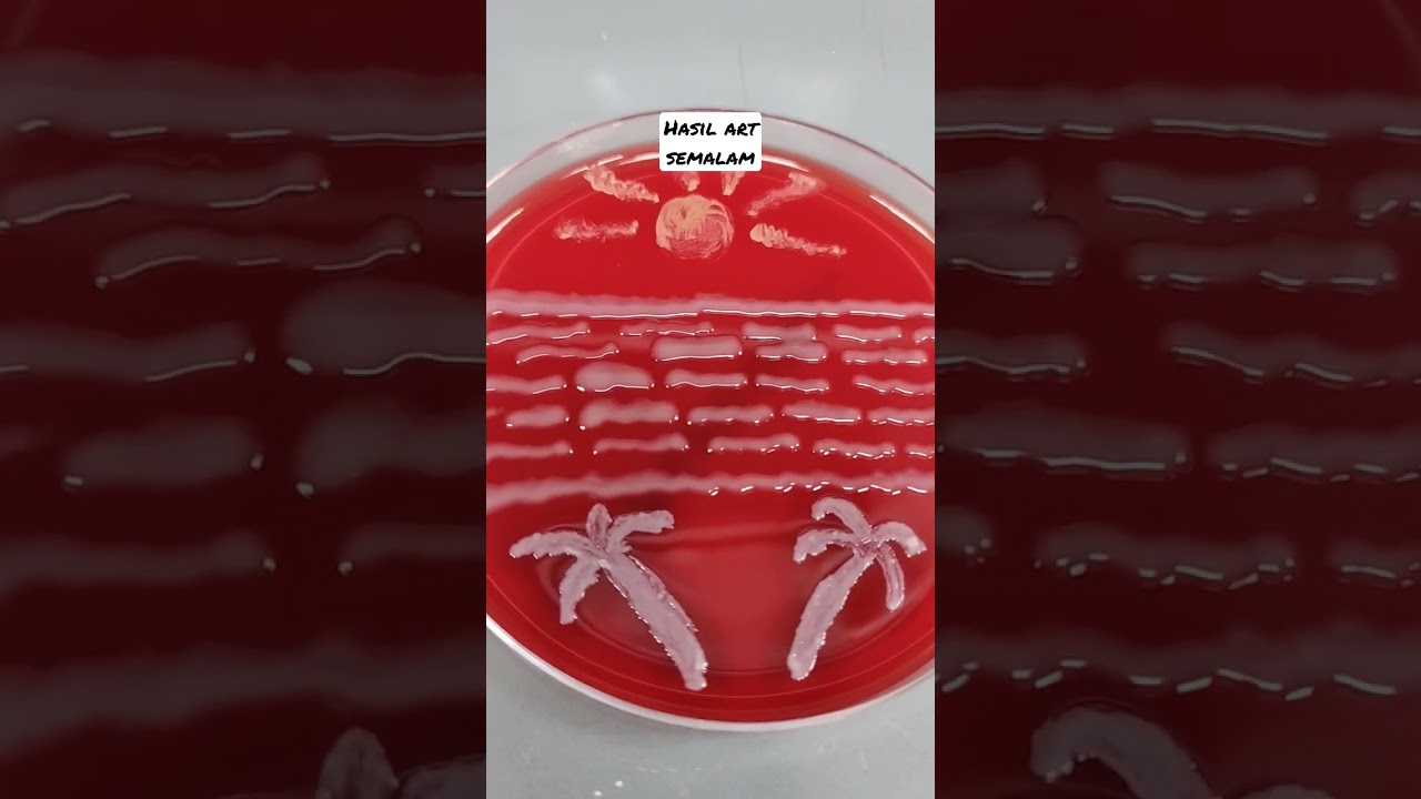 bacteria art part 2