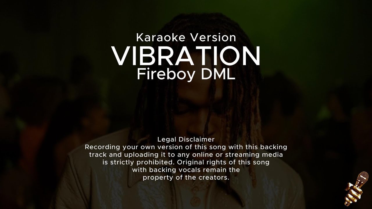 FIREBOY DML - VIBRATION (Karaoke Version)