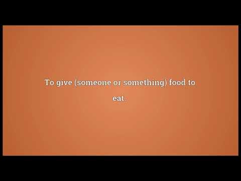feed meaning in English