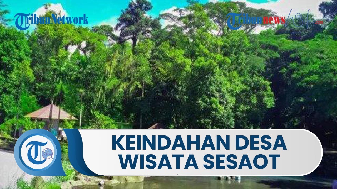 Keindahan Kawasan Hutan Lindung Desa Wisata Sesaot, Terdapat Berbagai ... Keindahan Kawasan Hutan Lindung Desa Wisata Sesaot, Terdapat Berbagai ...