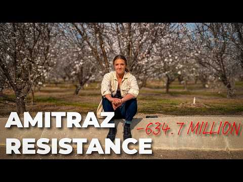 This Mite Treatment Worked for 20 Years — Now It’s Failing Fast!