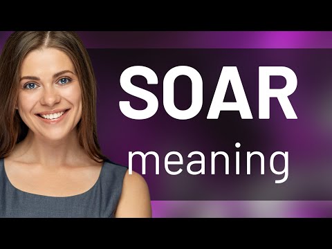Soar • what is SOAR definition