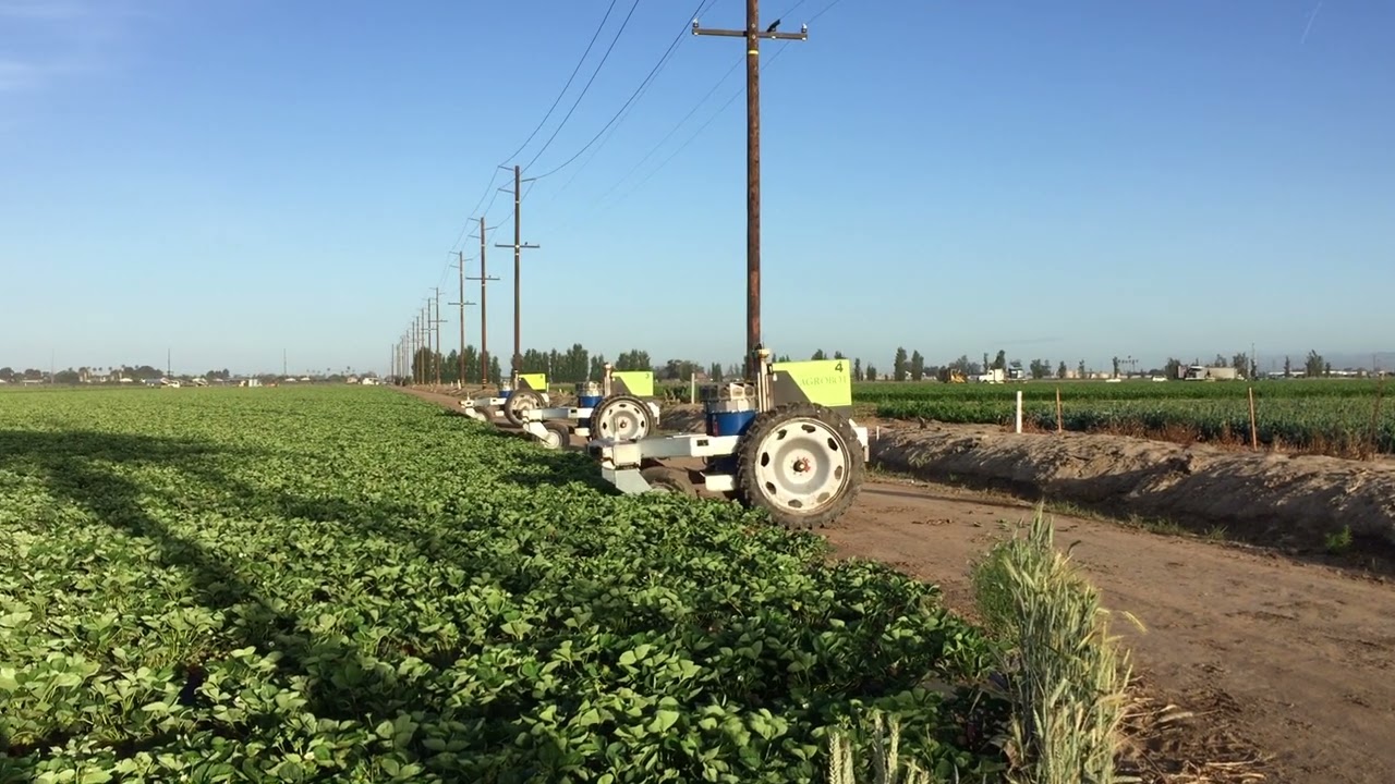 Agrobot BugVac turning
