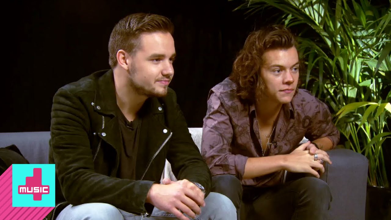 One Direction: Danny DeVito threw poo at us!