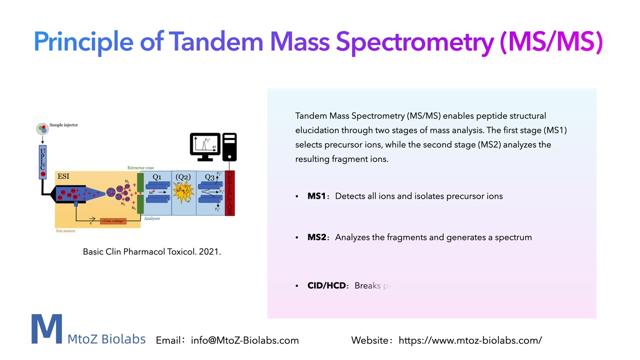 Tandem Mass Spectrometry-Based Protein Identification