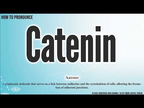 Catenin Pronunciation | How to Pronounce (say) Catenin CORRECTLY | Meaning Definition
