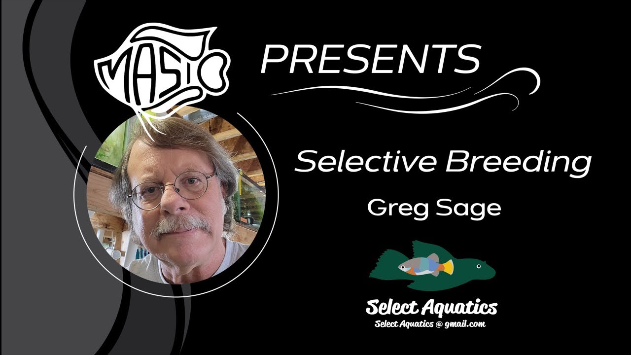 Selective Breeding - Greg Sage