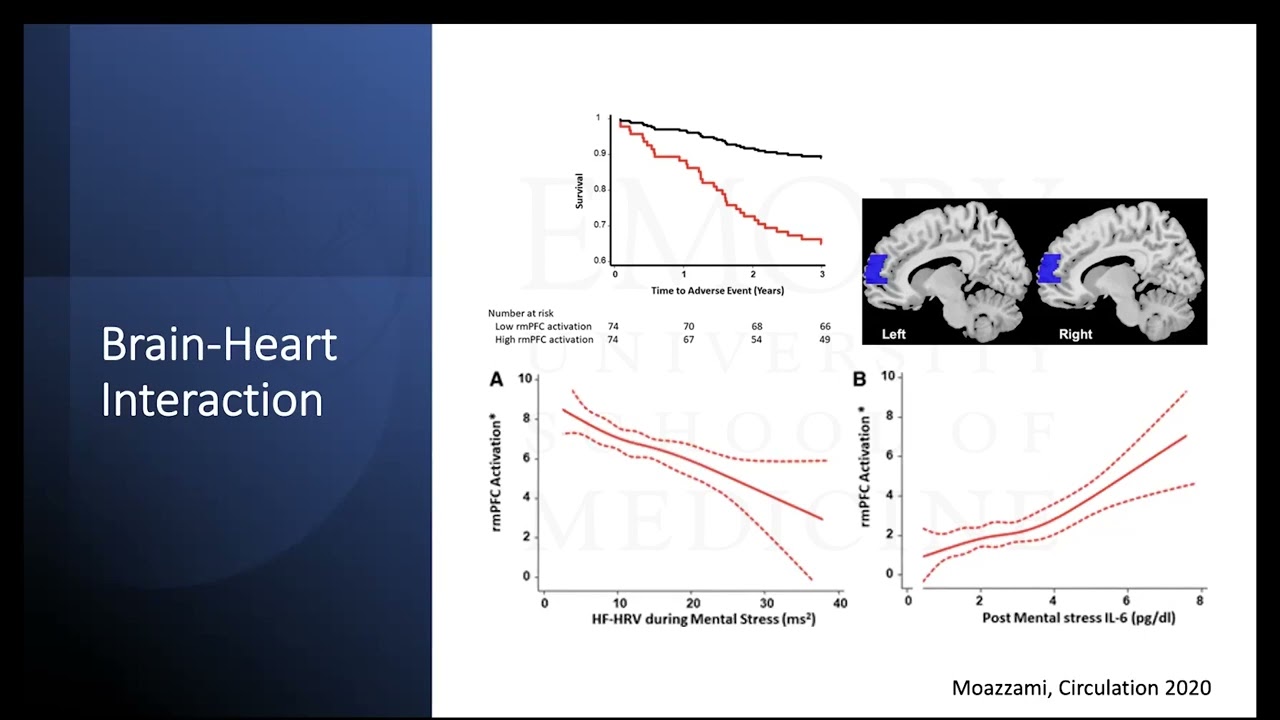 Stress and Adverse Cardiovascular Events
