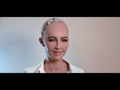 Sophia - the humanoid robot / Hanson Robotics