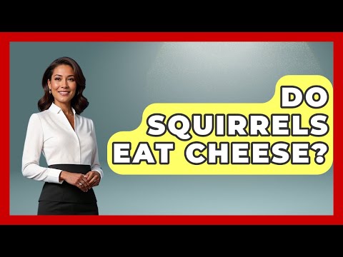 Do Squirrels Eat Cheese? - The Wild Life Explorer