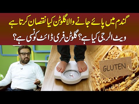 Gluten Allergy Kya Hai? Gluten Free Dite Kaunsi Hai? - Gandum Me Mojud Gluten Kya Nuqsan Karta Hai?