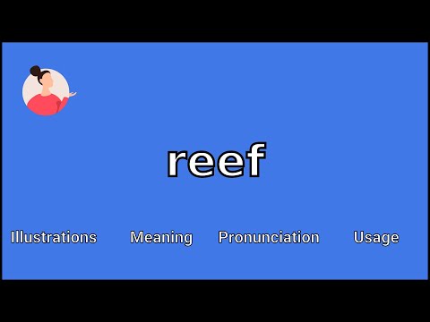 REEF - Meaning and Pronunciation