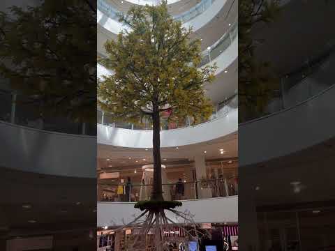 Floating Tree in the middle of a department store #shorts