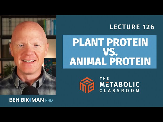 Plant Protein vs Animal Protein: What Science Reveals | Galaxy