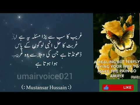 Best Quote in Urdu | Pyari batain 250 | Aqwal e zareen | Amazing Urdu Quote#aqwalezareen #quotes