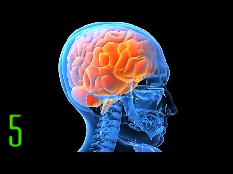5 Scary Things You Didn't Know About Your Brain | Beyond Science ...