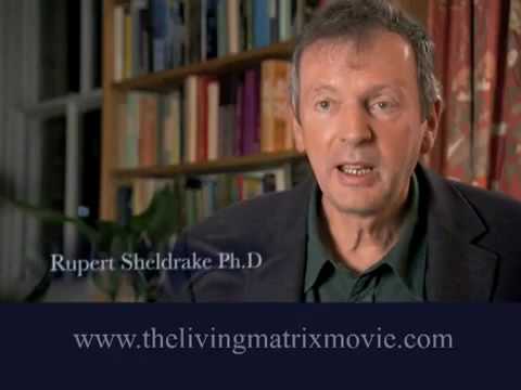 The Living Matrix
