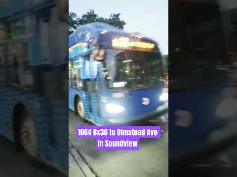 #MTA NYC BUS: 1064 Bx36 @ Tremont & Webster #music #nycbus #youtubeshorts #thebronx #sunrise