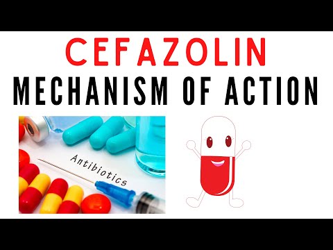Cefazolin Sodium Injection - Reflin Latest Price, Manufacturers & Suppliers