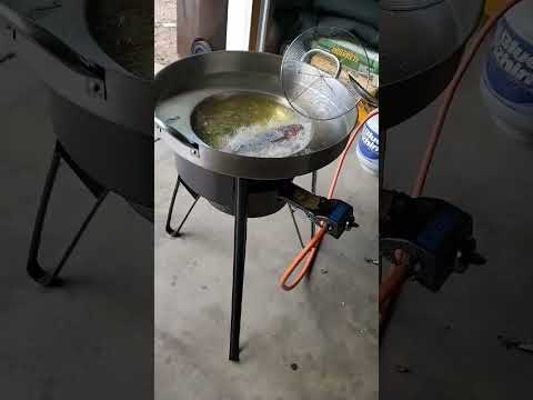 When you learning to fry a fish. #mojarra #fry #disco