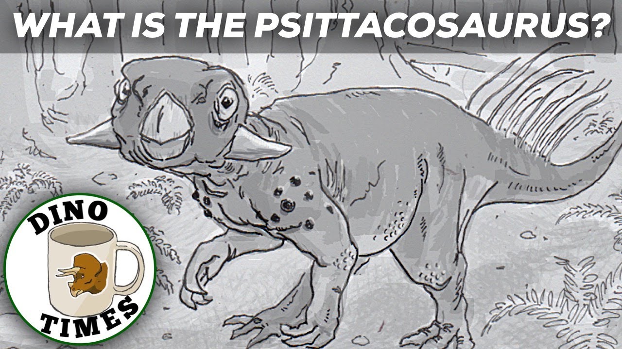 What is the Psittacosaurus? Dino Times