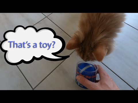 What kind of toy is this? | Muffin the Maine Coon