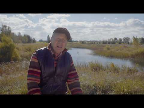 Wetland Restoration in the Lower Thames Watershed