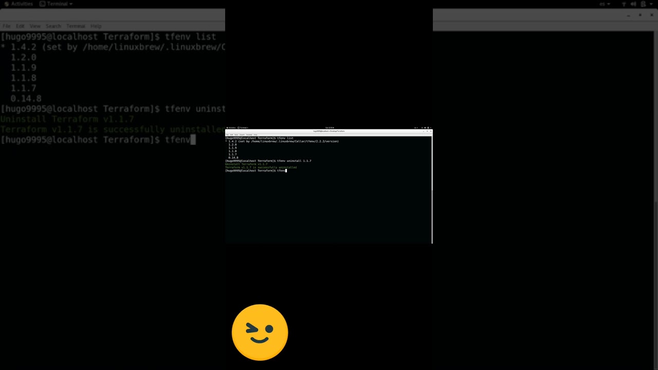 Remove Terraform old versiones from your workspace - Easy Tools
